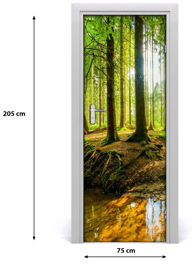 Fototapeta na dveře Strumień w lasie 75x205 cm