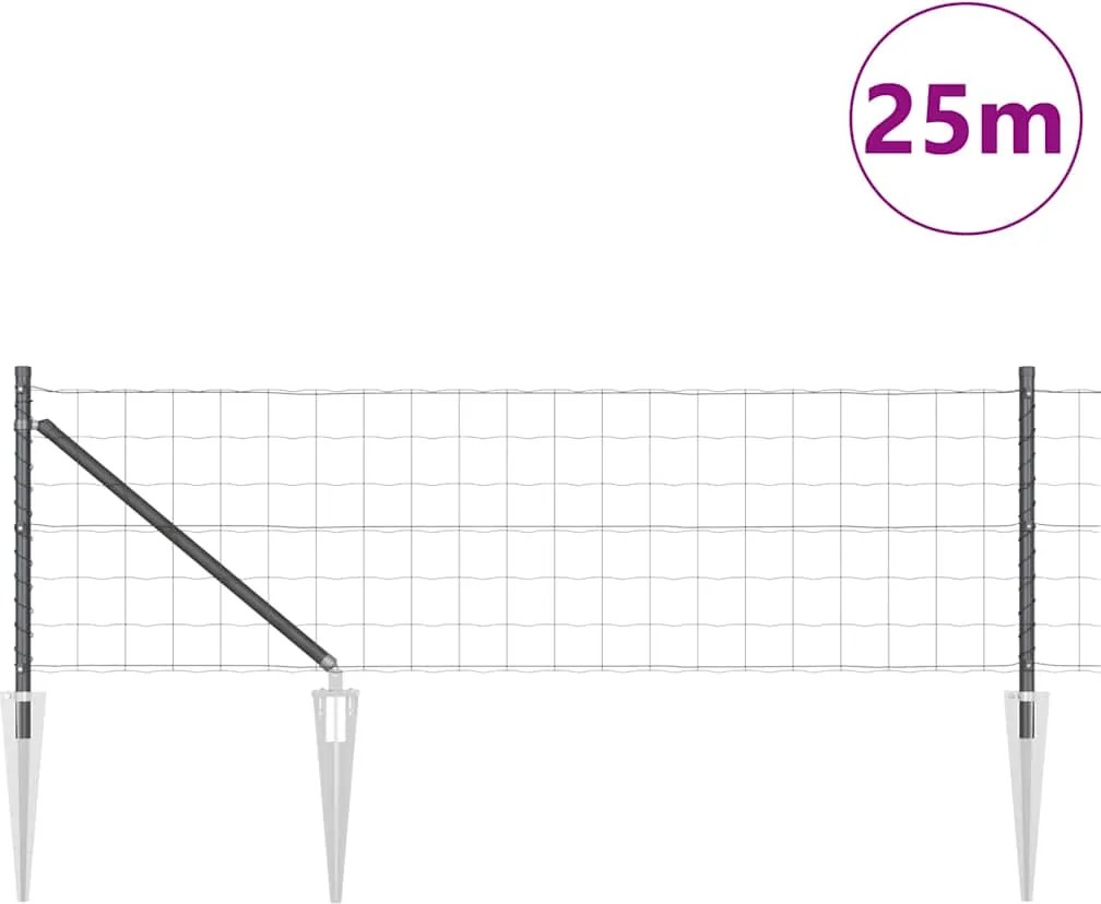 Evropský plot se hroty 25 x 0,8 m Ocel potažená PVC Šedá 3350688