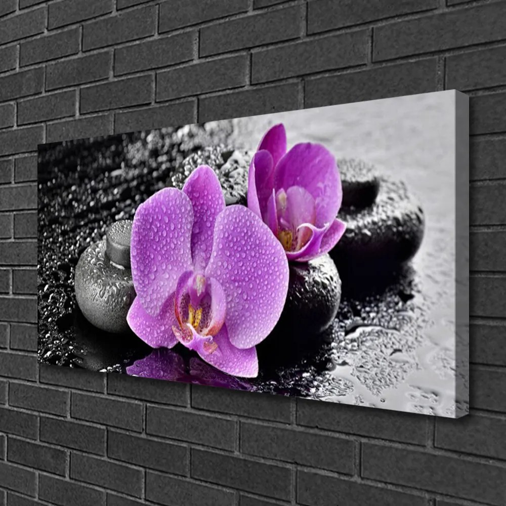 Obraz na plátně Orchidej Květiny Kameny Zen 100x50 cm