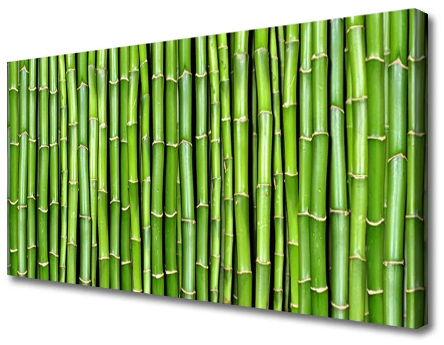 Obraz na plátně Bambus Květ Rostlina 100x50 cm