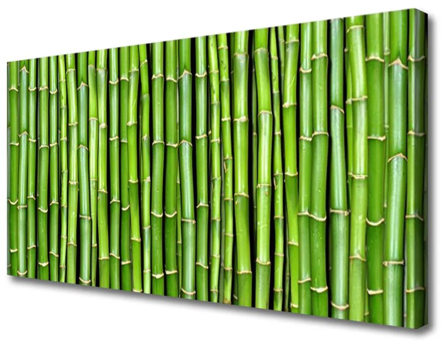 Obraz na plátně Bambus Květ Rostlina 120x60 cm