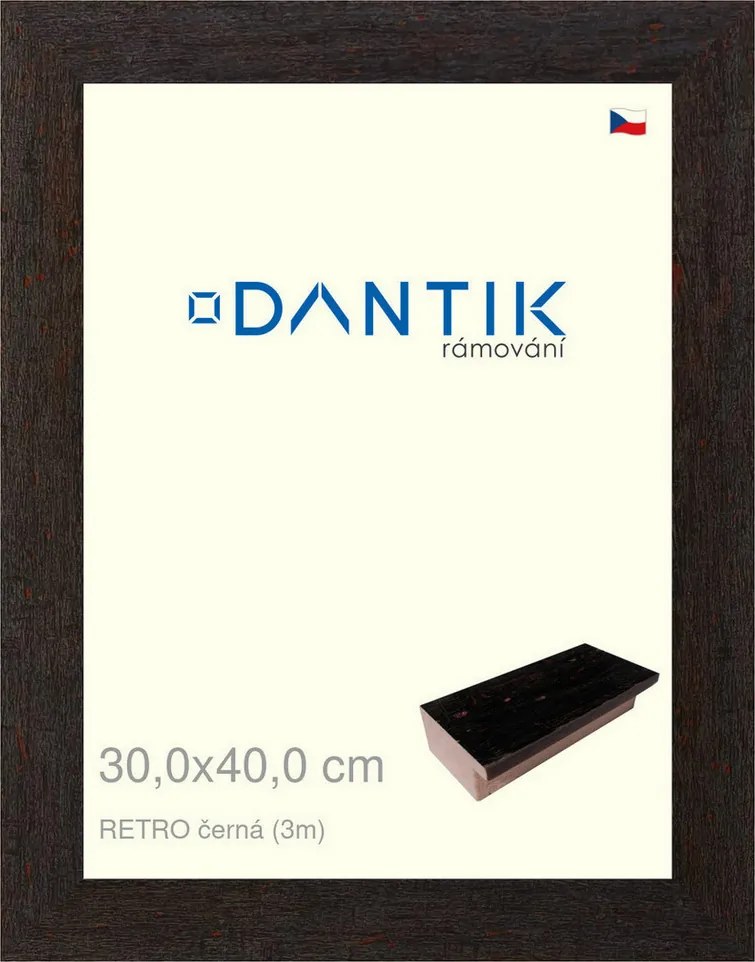 DANTIK rámeček 30x40 | RETRO černá (Plexi Čiré)