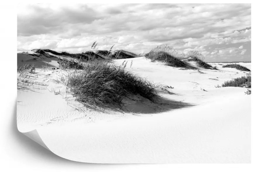 Fototapeta Odpoledne V Dunes Black &amp;amp; White Strukturální vinyl 152.5x104