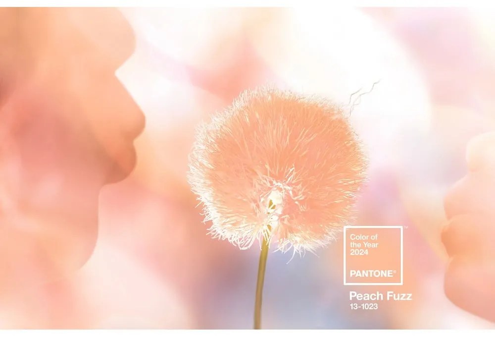 Oranžový porcelánový šálek na cappuccino 175 ml Peach Fuzz 13-1023 – Pantone