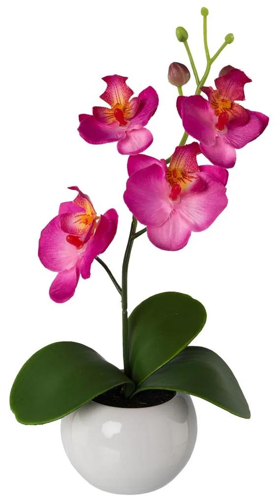 Gasper Umělá květina Orchidej v keramickém květináči, tmavě růžová, 21 cm