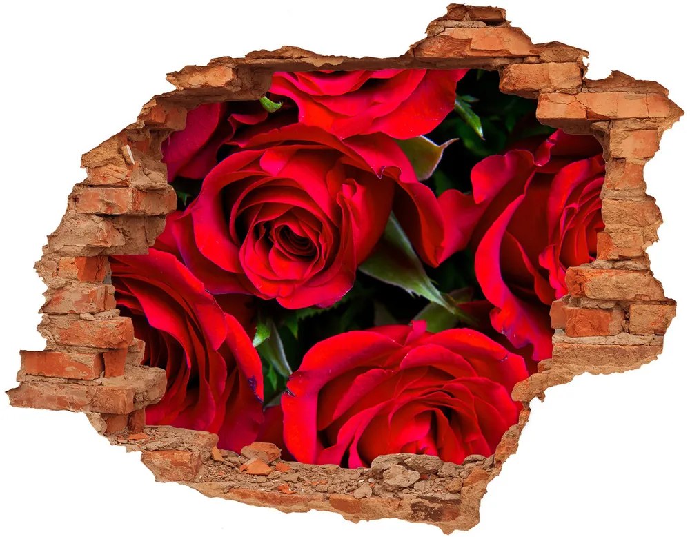 Wallmuralia Samolepící díra nálepka Červené růže 90x70 cm