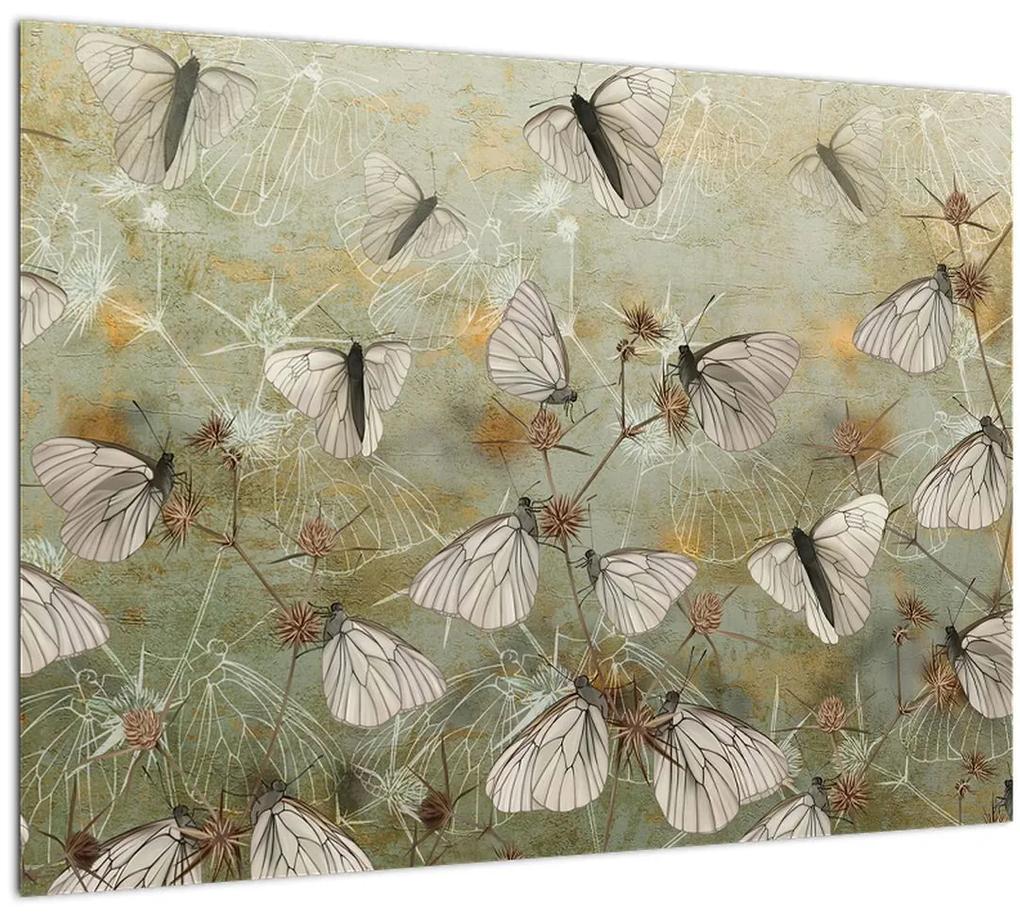 Obraz - Vintage motýli (70x50 cm)