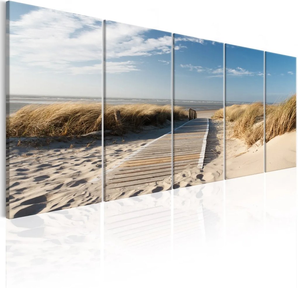 Pětidílný obraz pláž + háčky a hřebíčky ZDARMA Velikost (šířka x výška): 150x60 cm