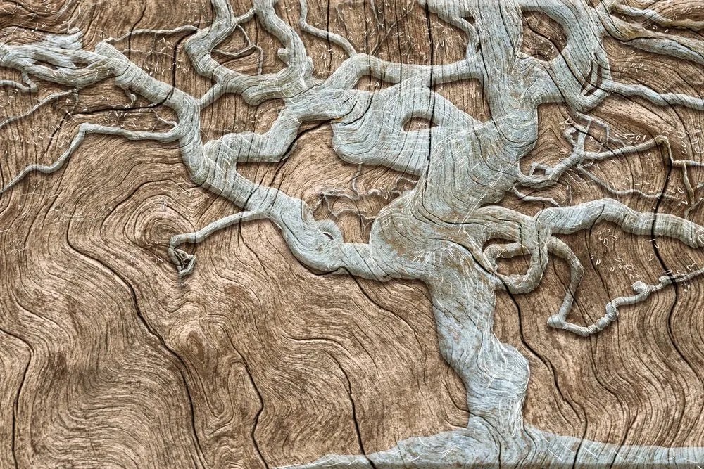 Samolepící tapeta abstraktní strom na dřevě v béžovém - 150x100 cm