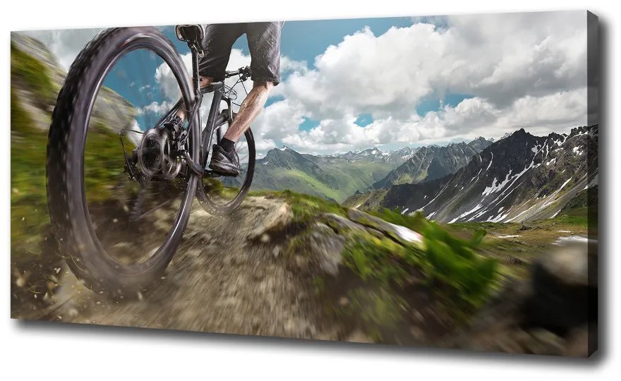 Wallmuralia Foto obraz na plátně Horská cyklistika 100x50
