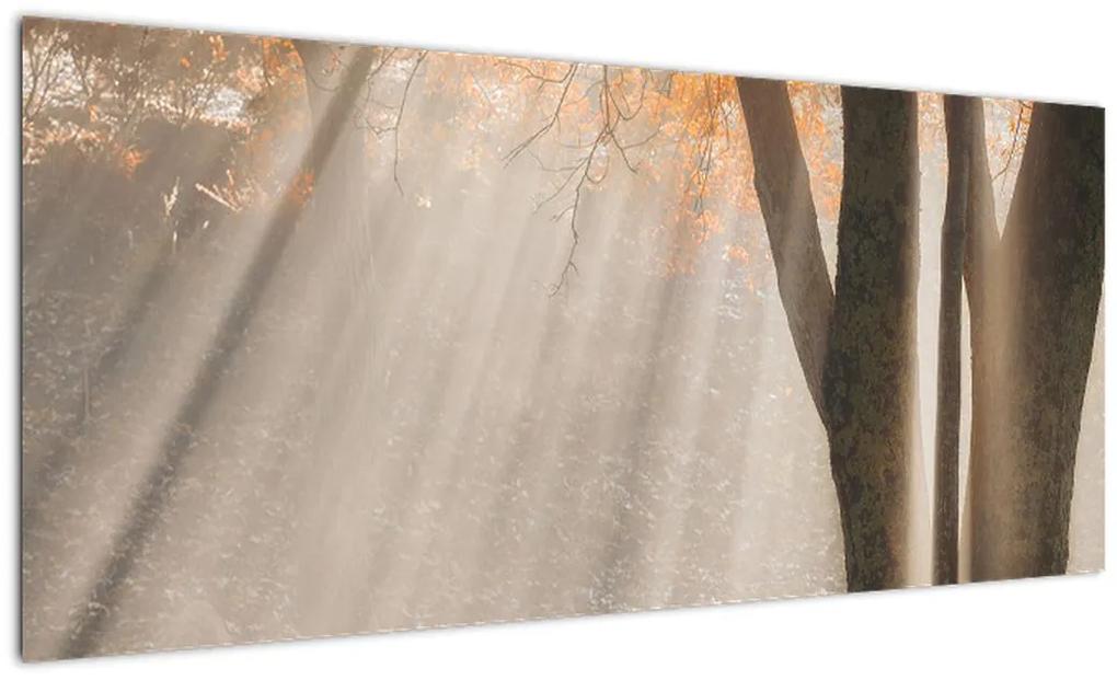 Obraz podzimní krajiny (100x40cm)