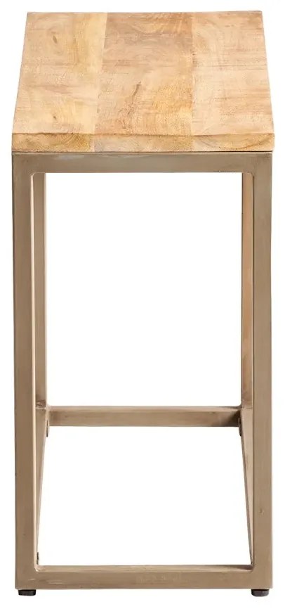 furniture-nabytek.cz - Masivní lavice Padma z mangového dřeva, lakovaná, hnědá