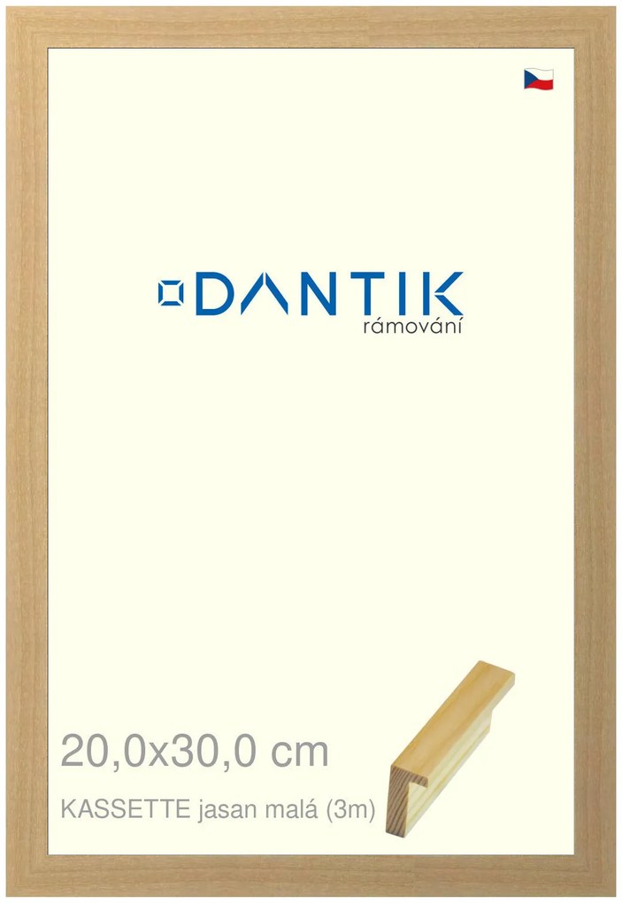 DANTIK rámeček 20x30 | KASSETTE jasan malá (Sklo Čiré)