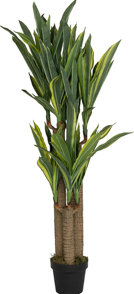 Dracena umělá 120 cm