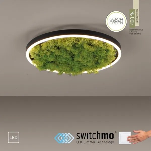 JUST LIGHT. 15391-66 - LED Stmívatelné stropní svítidlo GREEN RITU LED/20W/230V