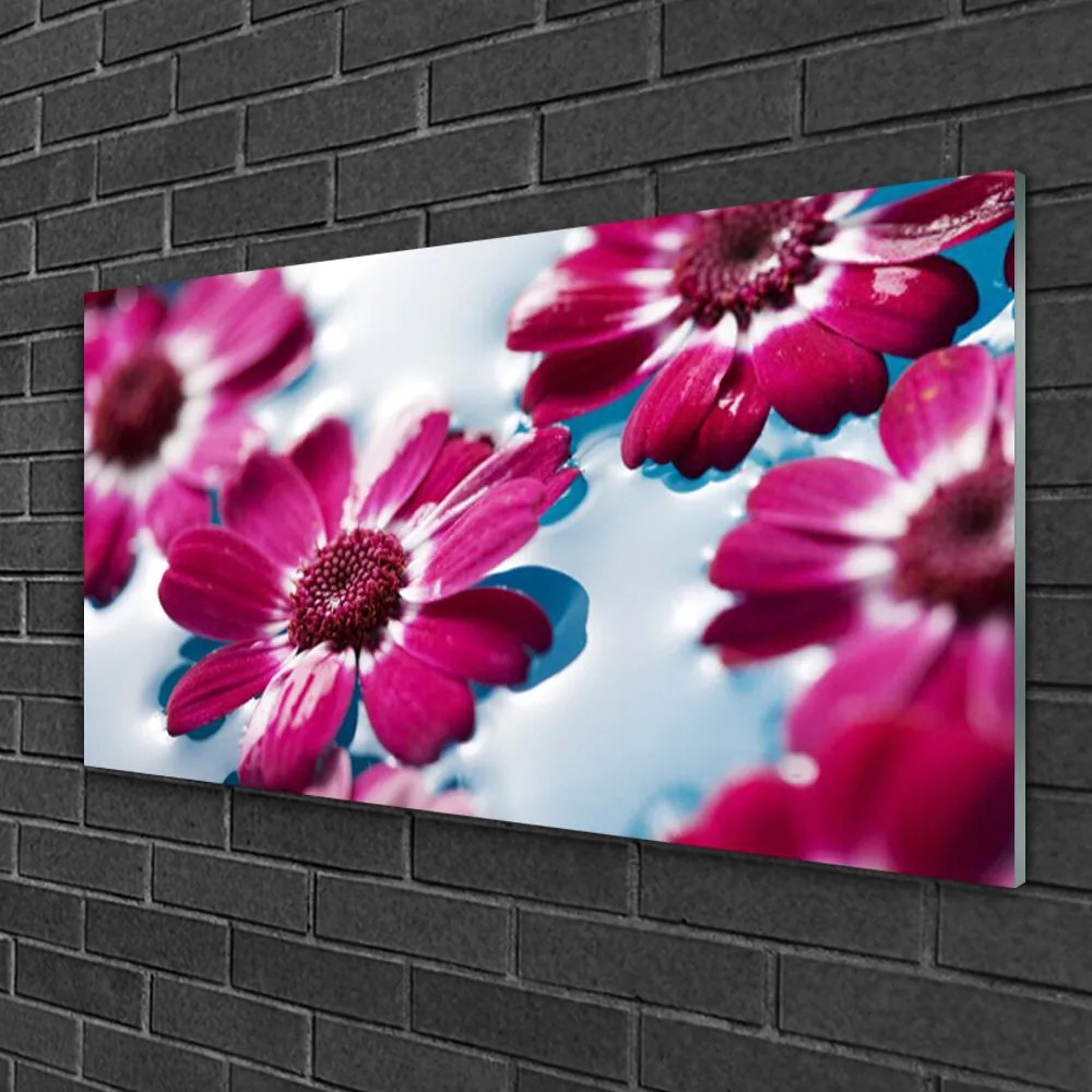 Obraz na skle Květiny na Vodě Příroda 120x60 cm