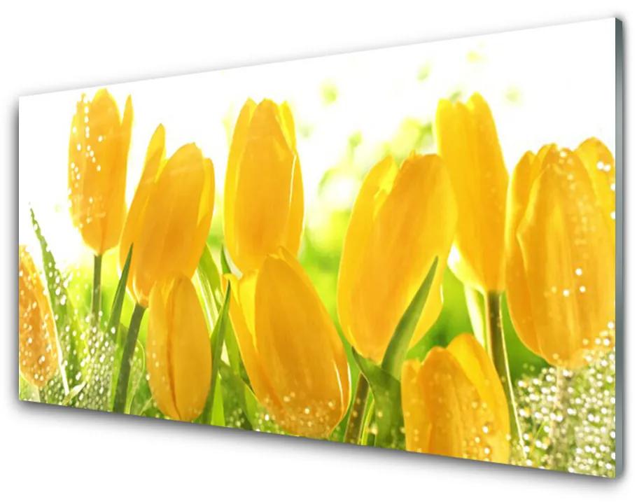 akrylový obraz Tulipány Květiny Rostlina 140x70cm