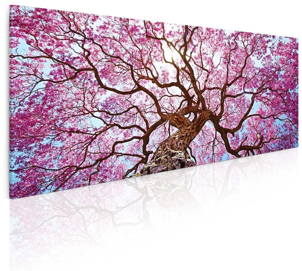 Malvis ® Obraz Rozkvetlý strom s růžovými květy ROZMĚR (šířka x výška): pětidílný obdélník 200x90 cm