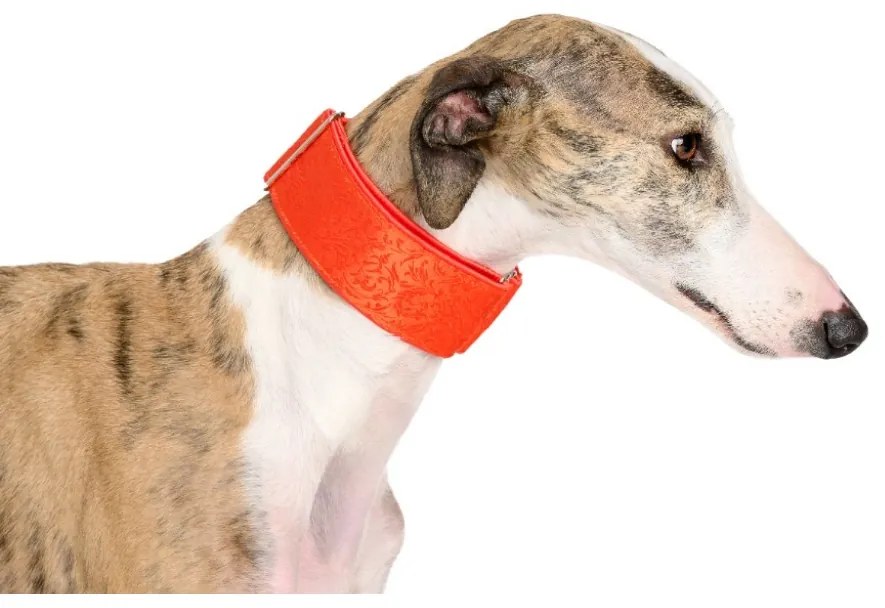Obojek pro psa Grace Emily Ornament oranžový Provedení: Martingal, Délka obojku: L - 40 - 56 cm, Šířka obojku: 2,5 cm
