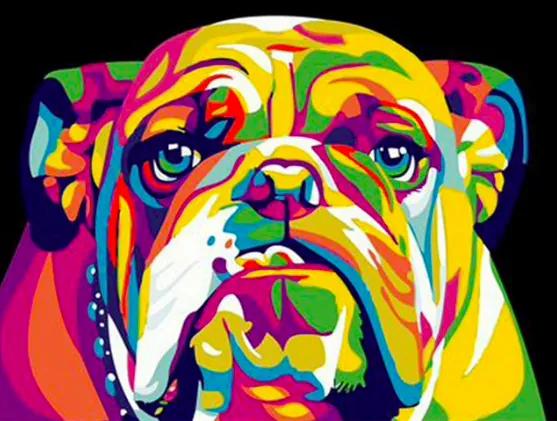 Malování podle čísel "Bulldog" 40x50 cm