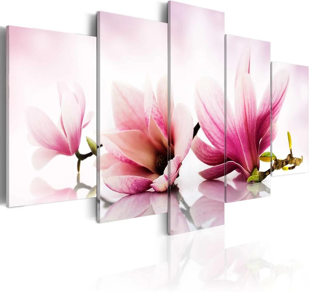 Obraz - Magnolias: pink flowers - 100x50