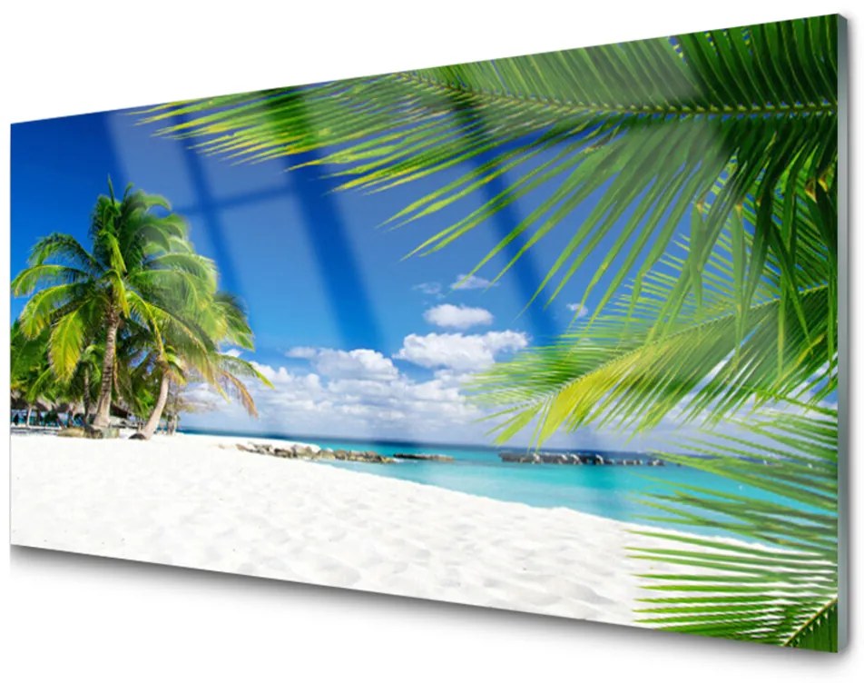 Plexisklo obraz Tropická Pláž Moře Výhled