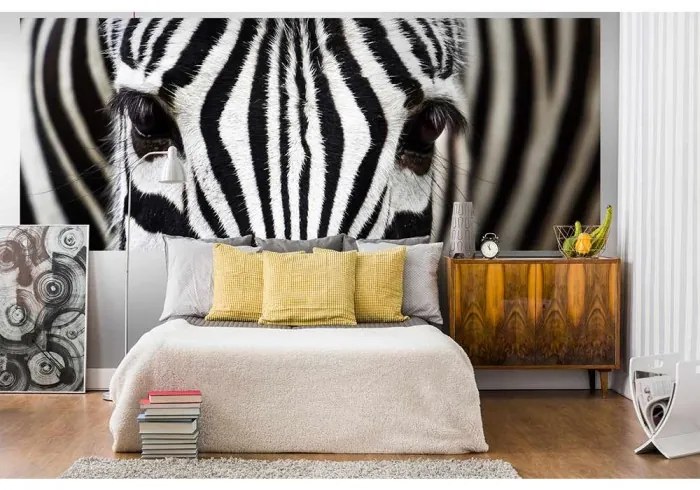 DIMEX | Panoramatická vliesová fototapeta na zeď Zebra MP-2-0234  | 375 x 150 cm | černá, bílá