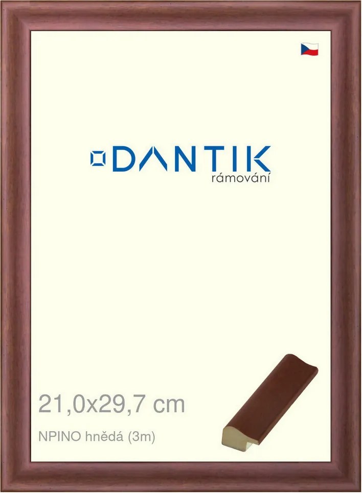 DANTIK rámeček 21x29,7 | NPINO hnědá (Sklo Čiré)