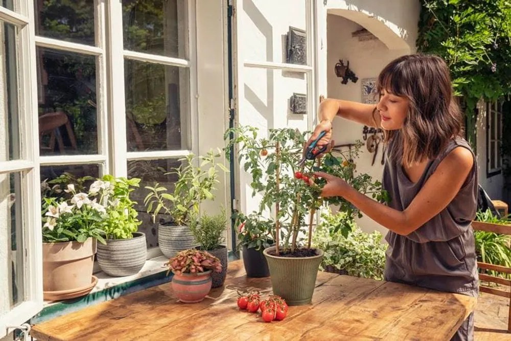 Ruční zahradní nůžky Gardena FreshCut s jmenovkami k bylinkám 12212-36