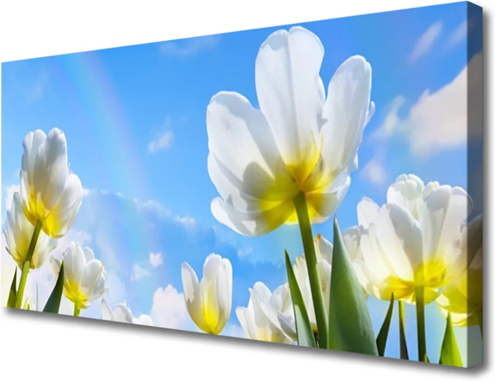 Obraz Canvas Rostliny Květiny Tulipány
