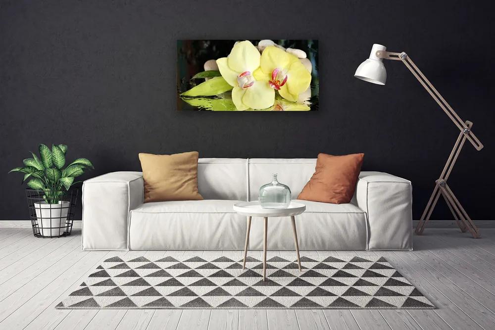 Obraz na plátně Okvětní Plátky Orchidej 120x60 cm