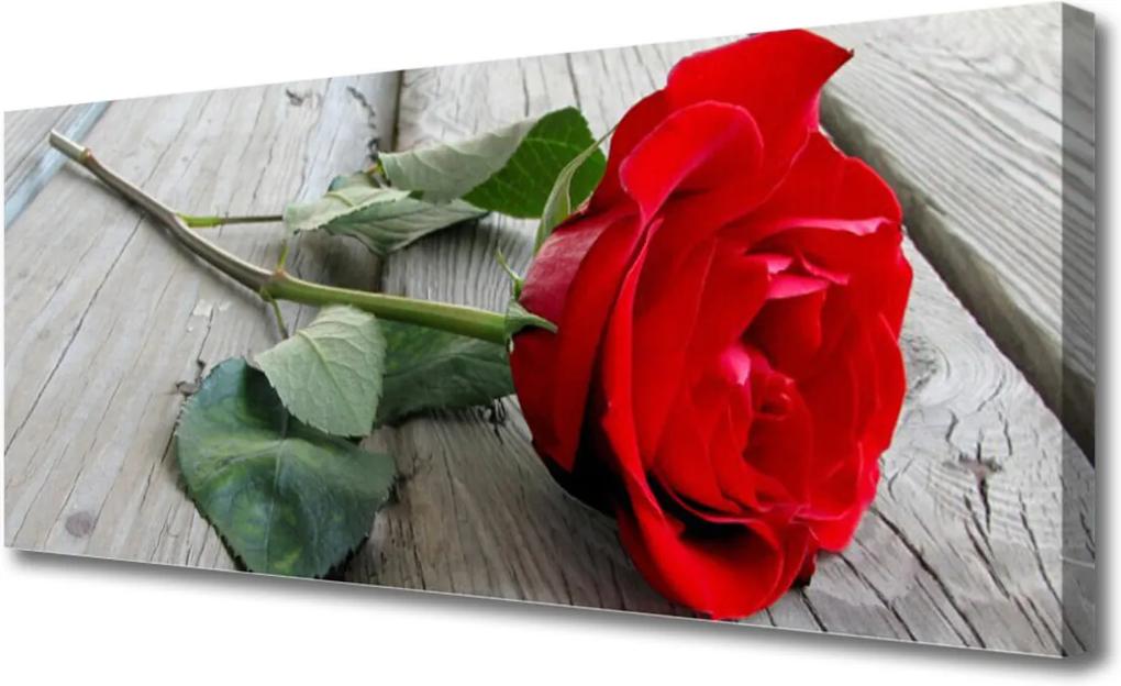 Obraz na plátně Skleněný Růže Květiny