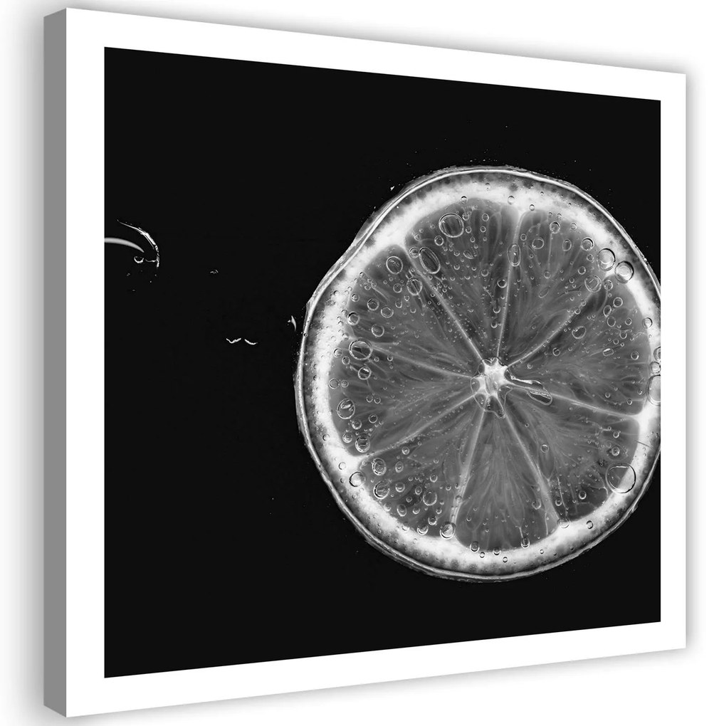 Gario Obraz na plátně Plátek citronu černobílý Rozměry: 30 x 30 cm