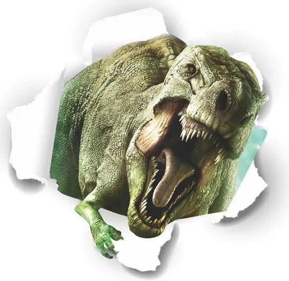 ZOOYOO Samolepka na zeď Dinosauři Jurský park 3D 50 x 50 cm 3