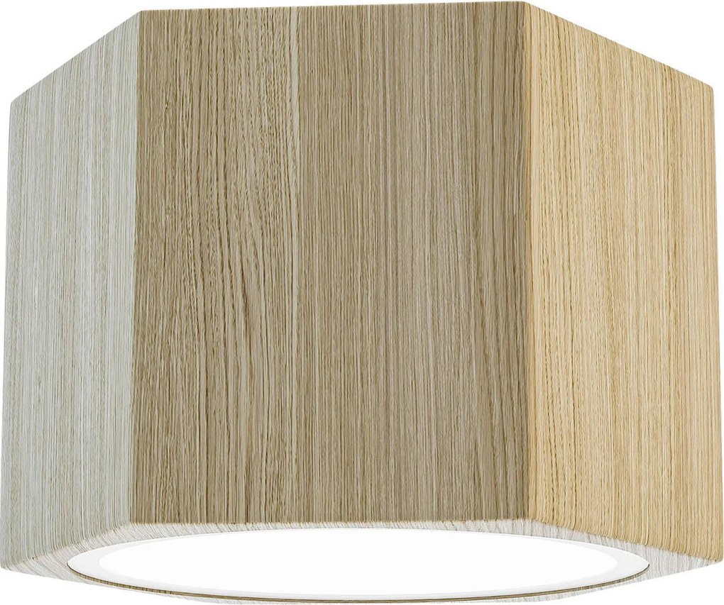 XXXLutz STROPNÍ BODOVÉ SVÍTIDLO, 12/8 cm - Online Only svítidla - 009228049301