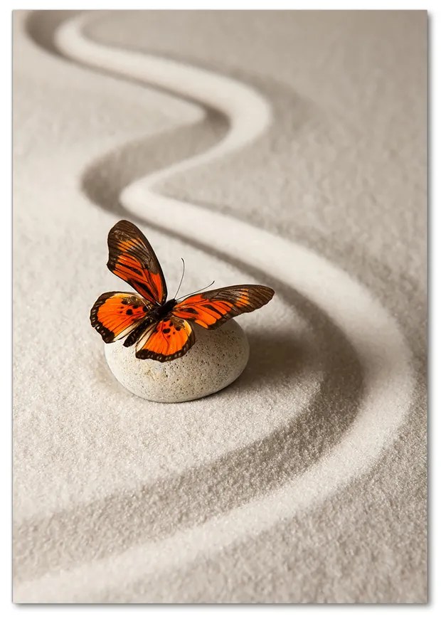 Wallmuralia Foto-obraz na skle Kámen zen a motýl 70x100 cm