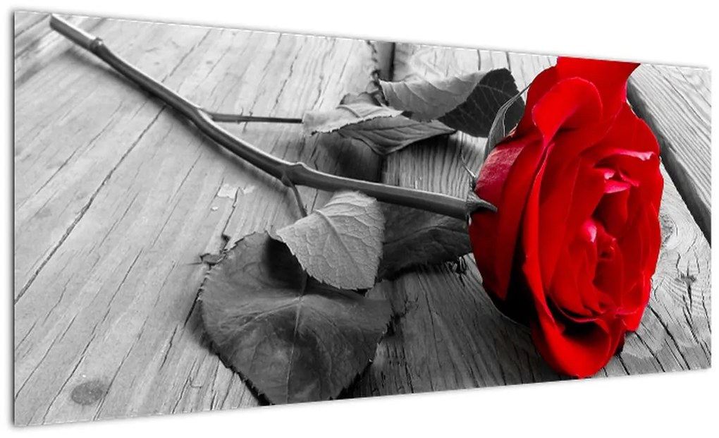 Růže červená - obraz (100x40cm)