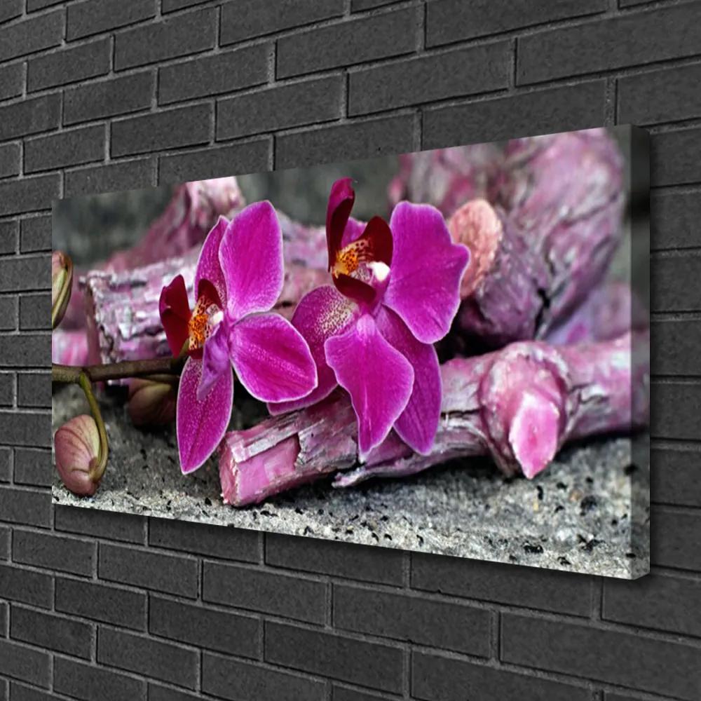 Obraz na plátně Dříví Květiny Rostlina Příroda 100x50 cm