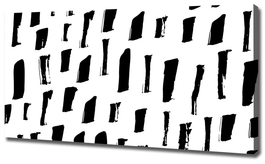 Wallmuralia Foto obraz na plátně Černobílé skvrny 120x60 cm