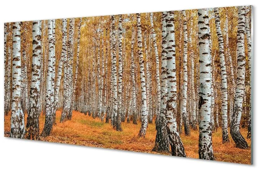 Obraz na skle podzimní stromy 140x70 cm