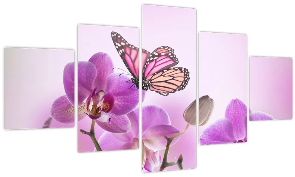 Obraz - Motýl na květech orchideje, lila (125x70 cm)