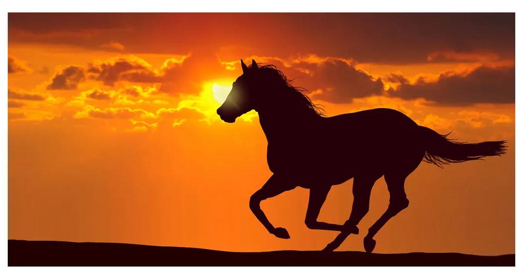Foto obraz sklo tvrzené Kůň západ slunce