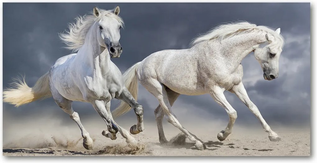 Fotoobraz skleněný na stěnu do obýváku Bílí koně pláž