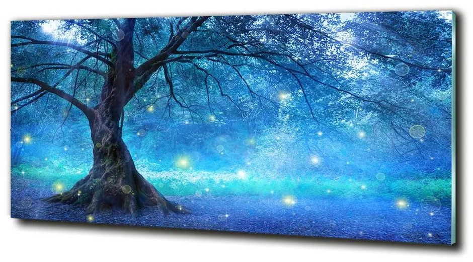 Wallmuralia Fotoobraz na skle Tajemný les 125x50 cm