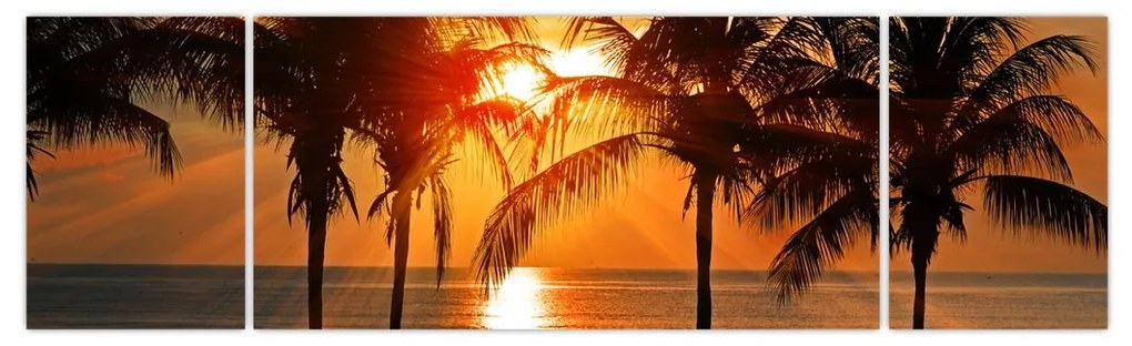 Obraz palmy v západu slunce (170x50 cm)