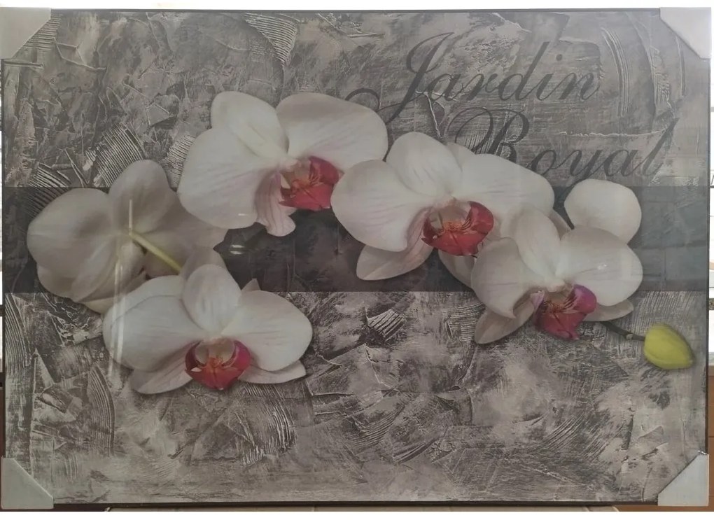Bondecor Obraz "Orchidej" - tisk na papír na MDF desku,100x70cm