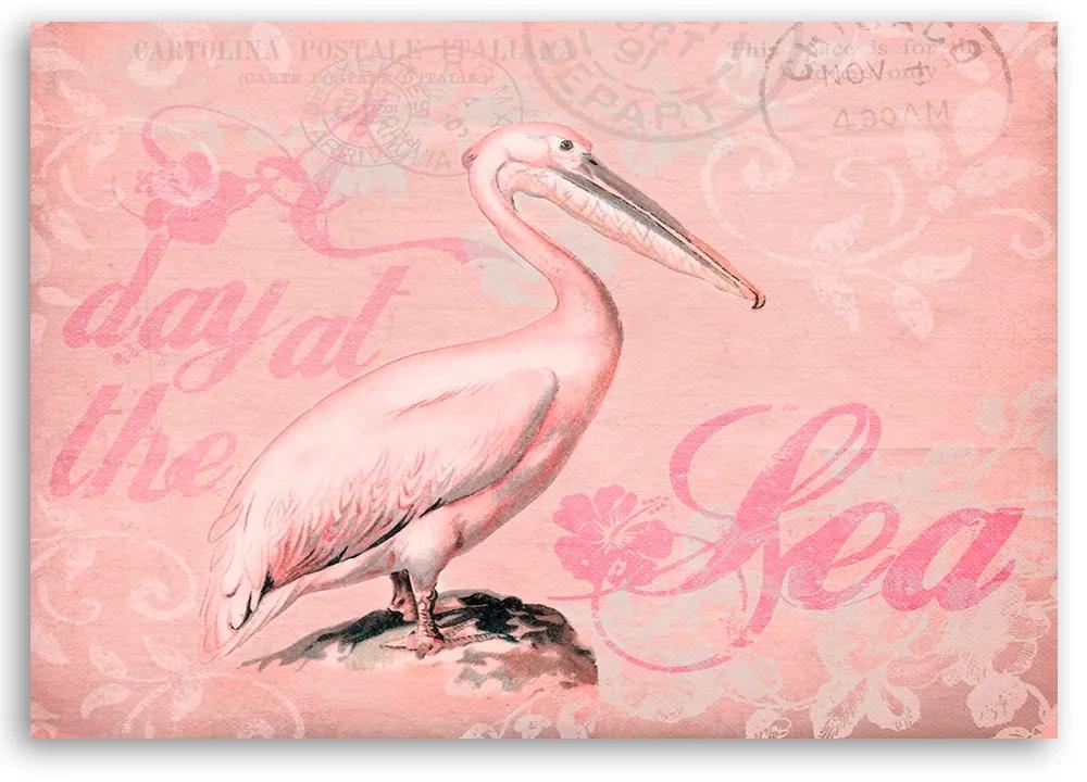 Gario Obraz na plátně Pelikán na růžovém pozadí - Andrea Haase Rozměry: 60 x 40 cm