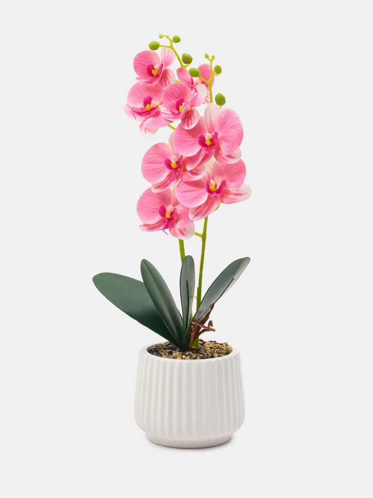 Sinsay - Decorative plant in a pot - pastelová růžová
