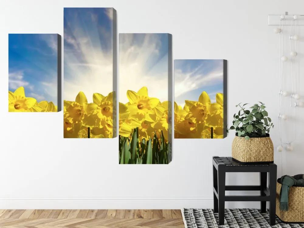 Vícedílný obraz 3D Pole Narcisů Nedostatek Nedostatek Plátno Canvas 240x150