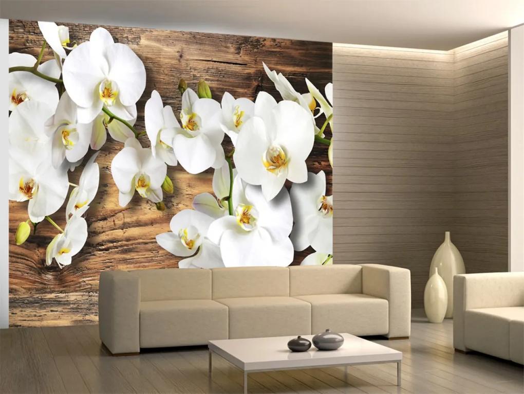 Fototapeta bílá orchidej na dřevě (150x116 cm) - Murando DeLuxe